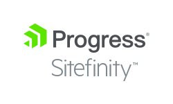 Platform Partners for Website Design and Development | Americaneagle.com